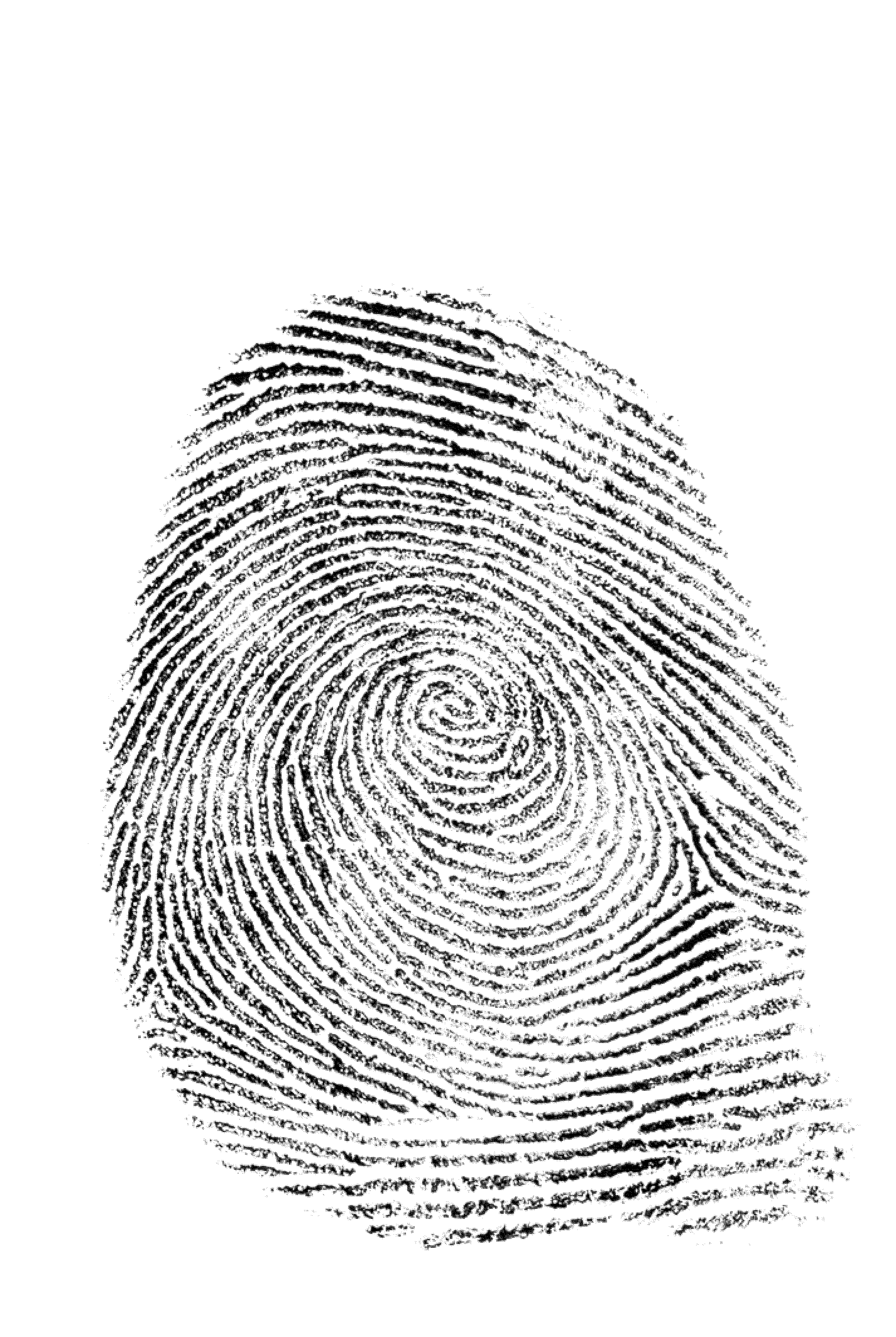 Live Scan Surprising Facts Live Scan Surprising Facts